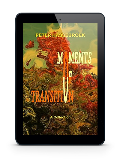 Review Moments of Transition | Voracious Readers Only